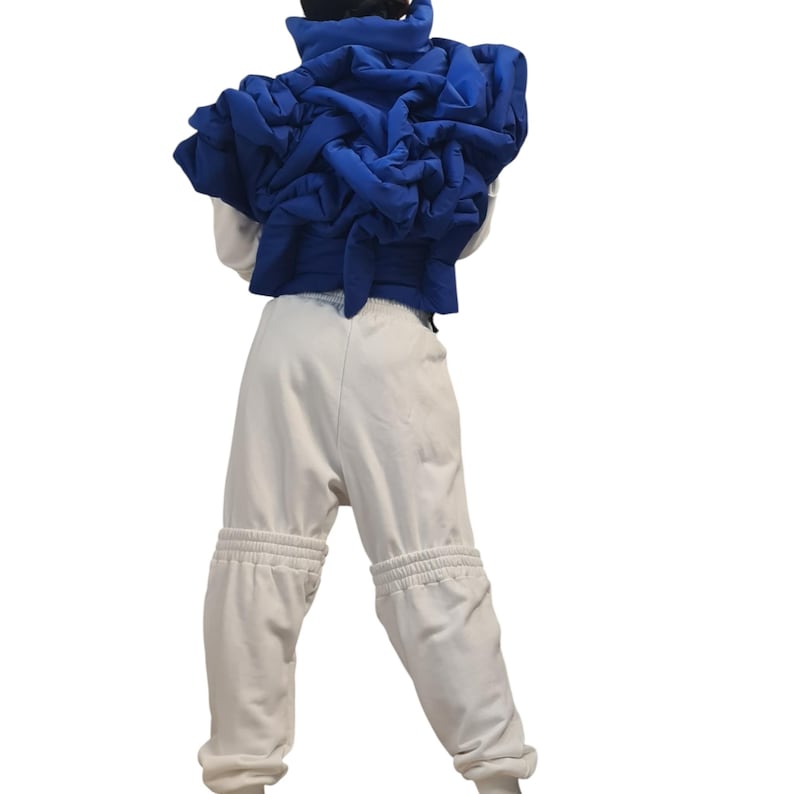 Short Extravagant Winter Jacket, Royal Blue Women Short Jacket ...