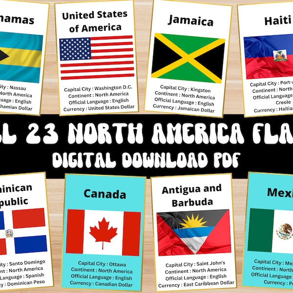 Citizenship Flash Cards - Etsy