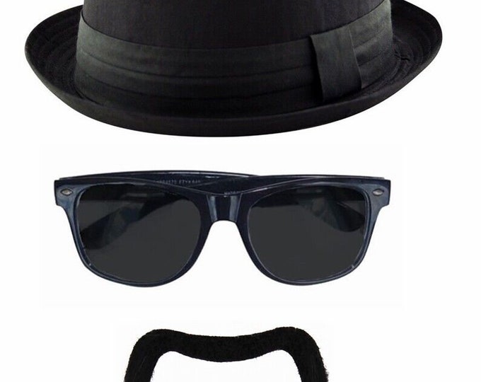 Breaking Bad Walter White Heisenberg Hat Goatee Beard & Sunglasses Set ...