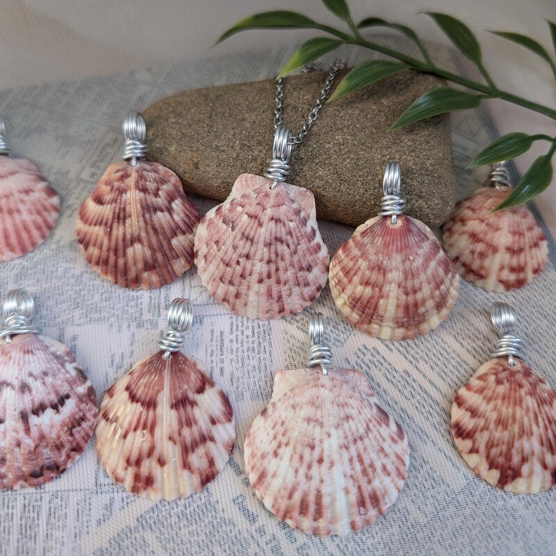 Sea Shell Wire Wrap - Etsy