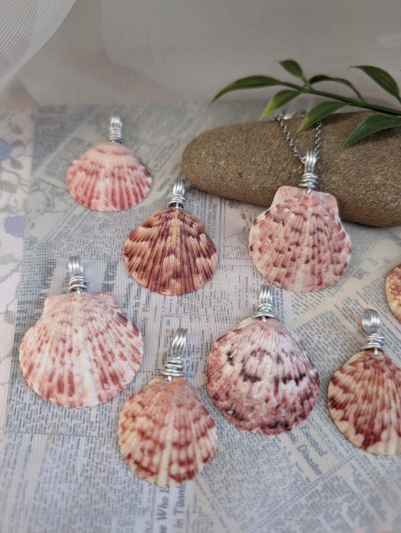 RANDOM Pink Swirl Seashell Necklace- Wire Wrapped Sea Shell Hung on 18 ...