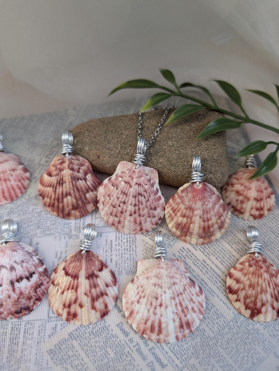 RANDOM Pink Swirl Seashell Necklace- Wire Wrapped Sea Shell Hung on 18 ...