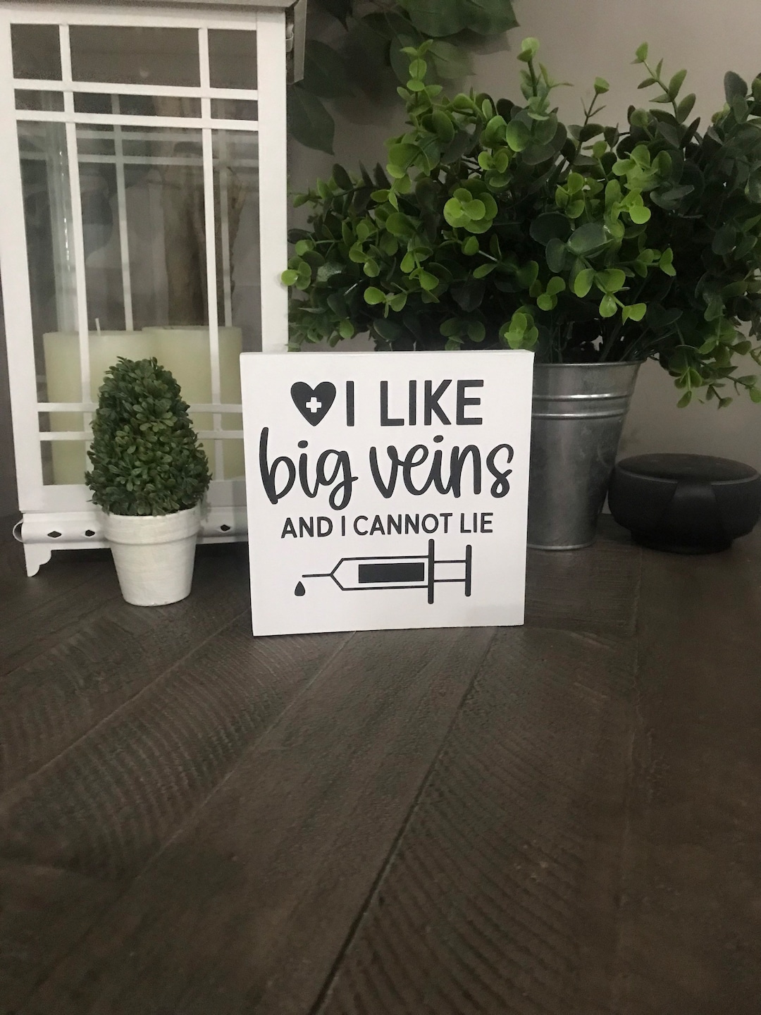 I Like Big Veins Sign, Phlebotomist Gift, Medical Humor Decor, 5.5 X 5. ...