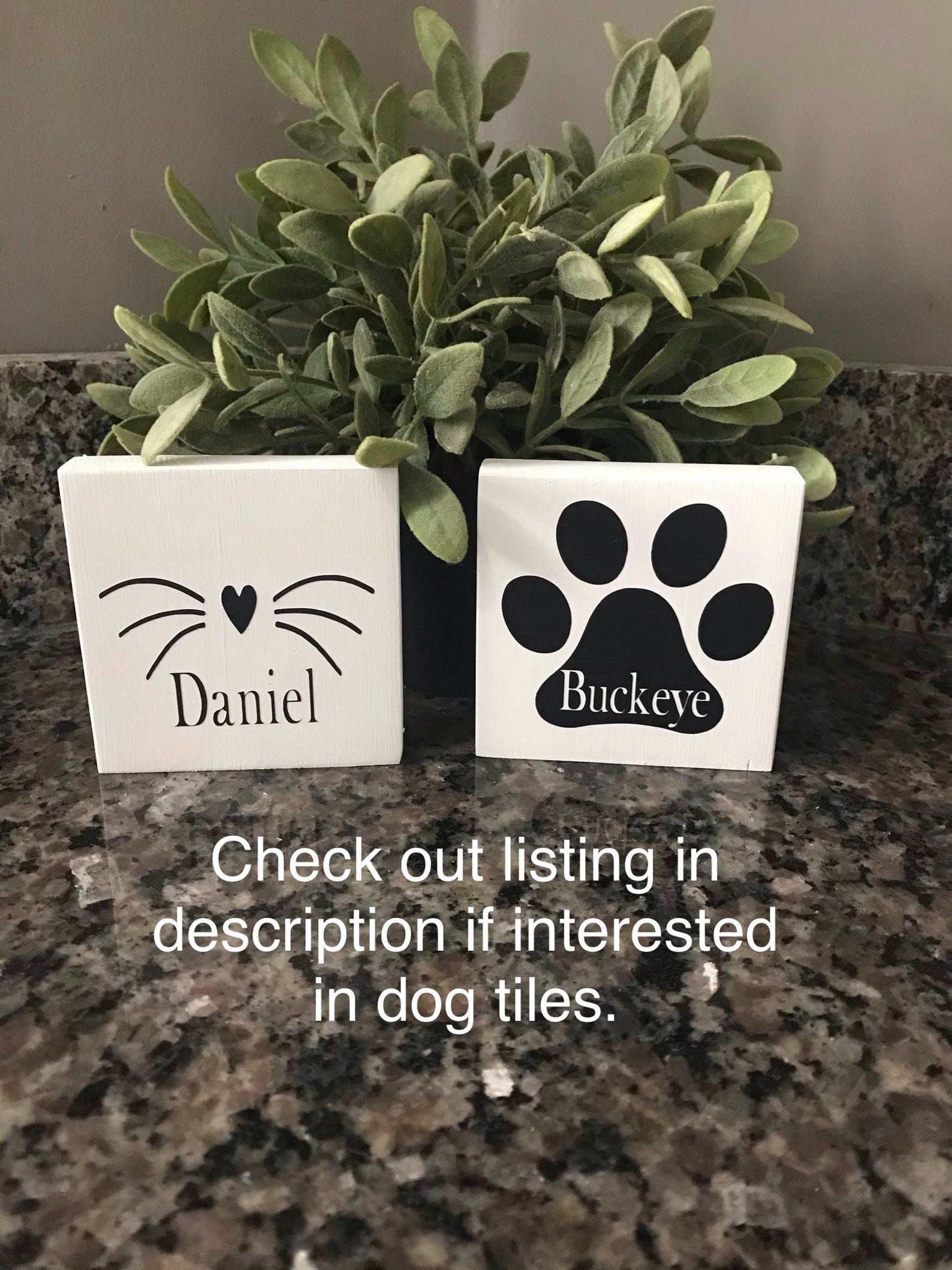 Personalized Cat Sign Cat Name Cat Sign Cat Wall Decor Cat | Etsy