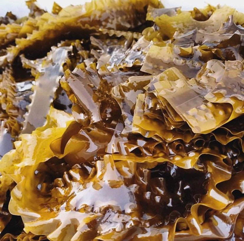 Sugar Kelp (saccharina Latissima) Wild Crafted Sundried. Top Quality ...