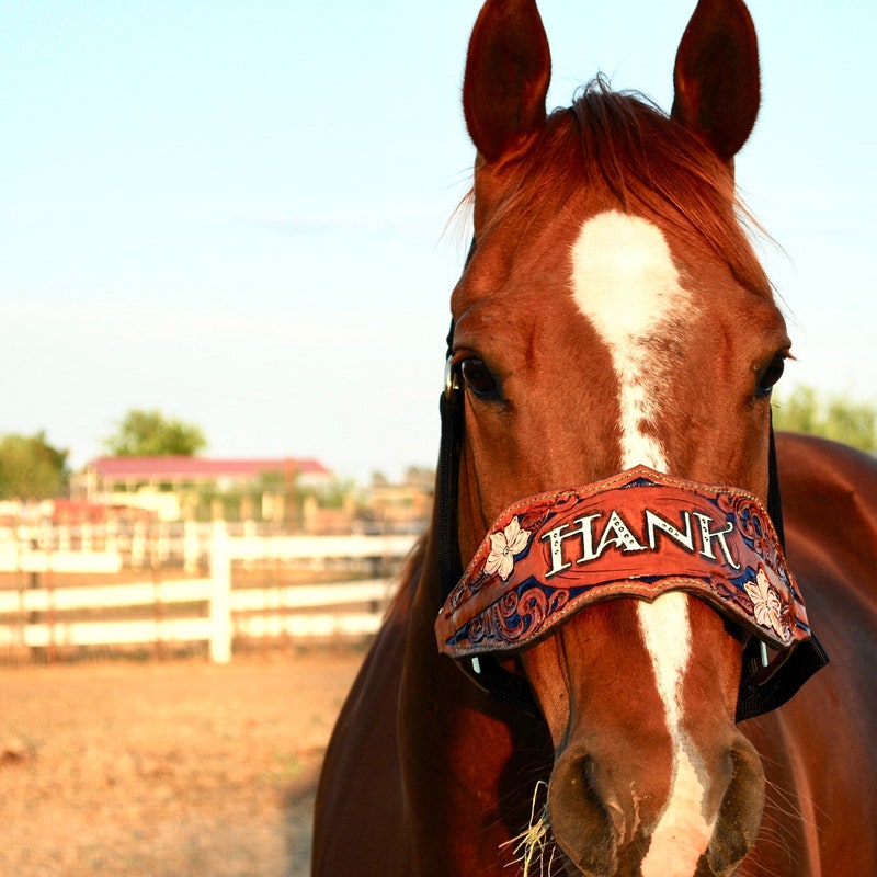 Bronc Halter - Etsy