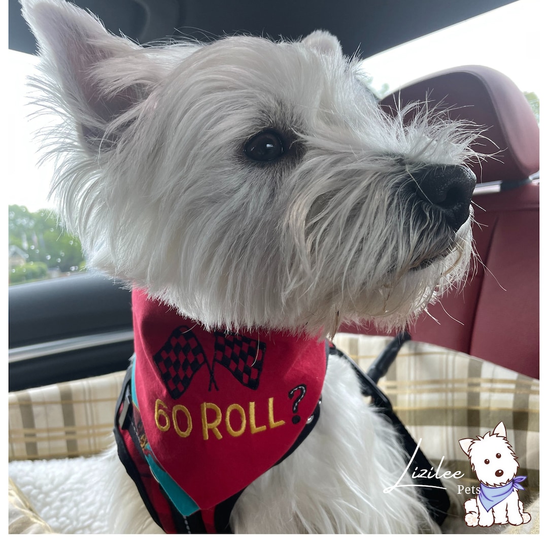 Fast and Furious Dog Bandana 60 Roll Dog Bandana Car Racing - Etsy