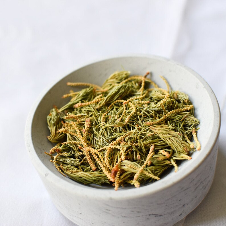 Black Spruce Sprout picea Mariana, High Quality Loose Leaf Herbal Tea ...