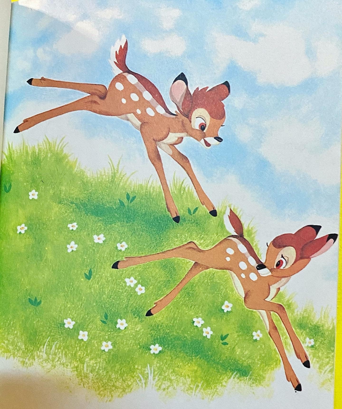 Vintage Disney Book 1979 Bambi Grows Up The Wonderful World of | Etsy