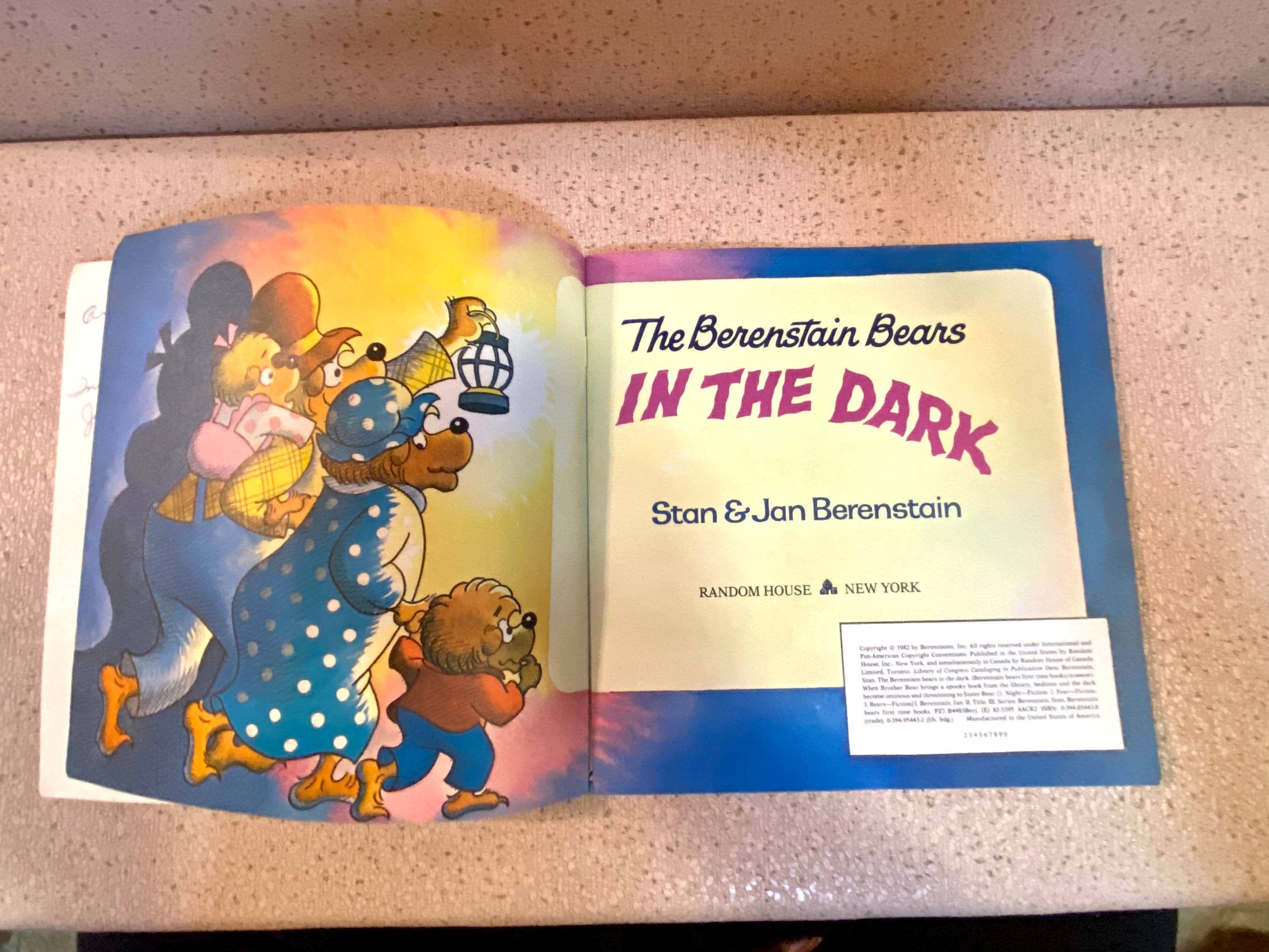Vintage Childrens Book 1982 the Berenstain Bears in the Dark | Etsy