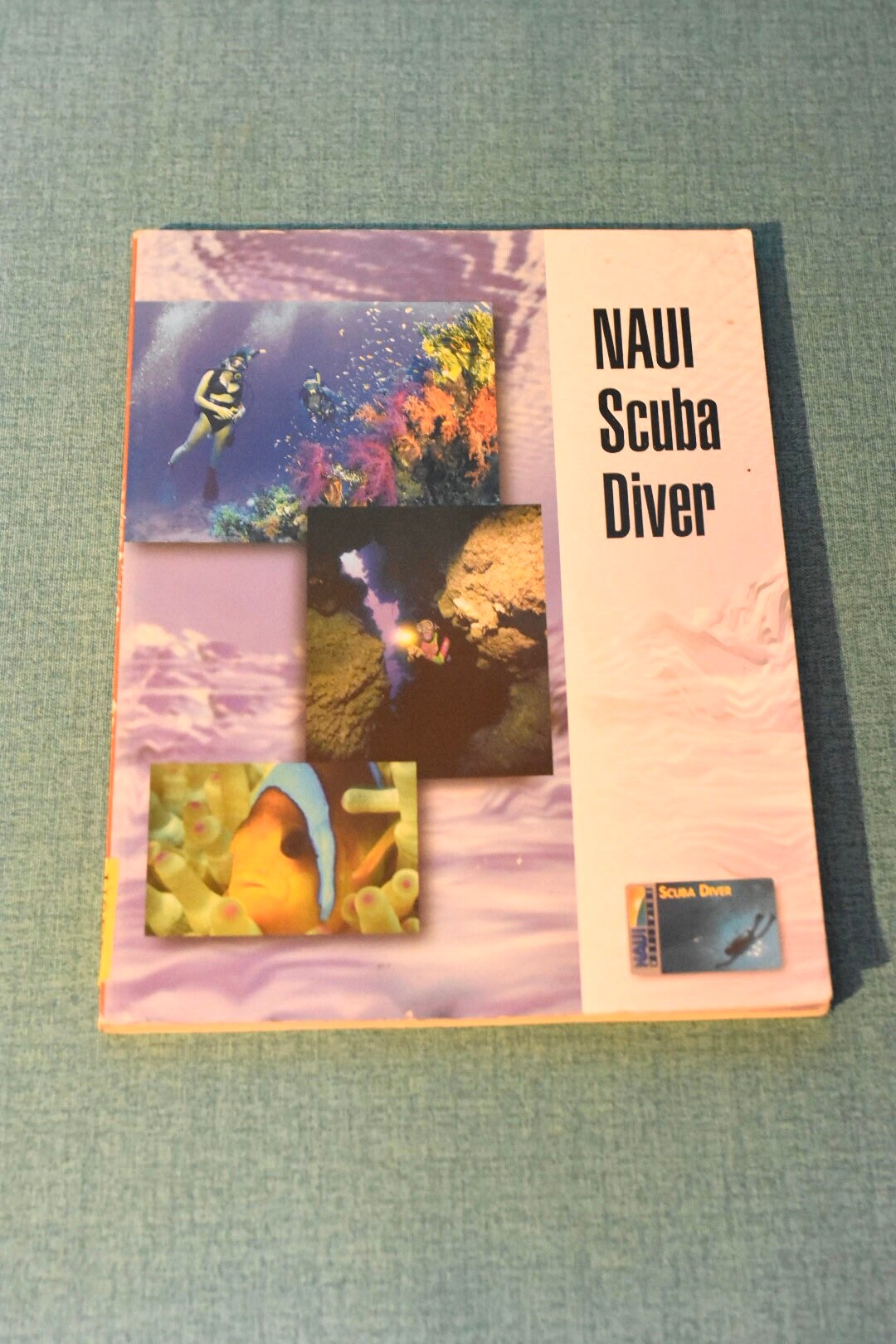 NAUI Scuba Diver Textbook - Etsy