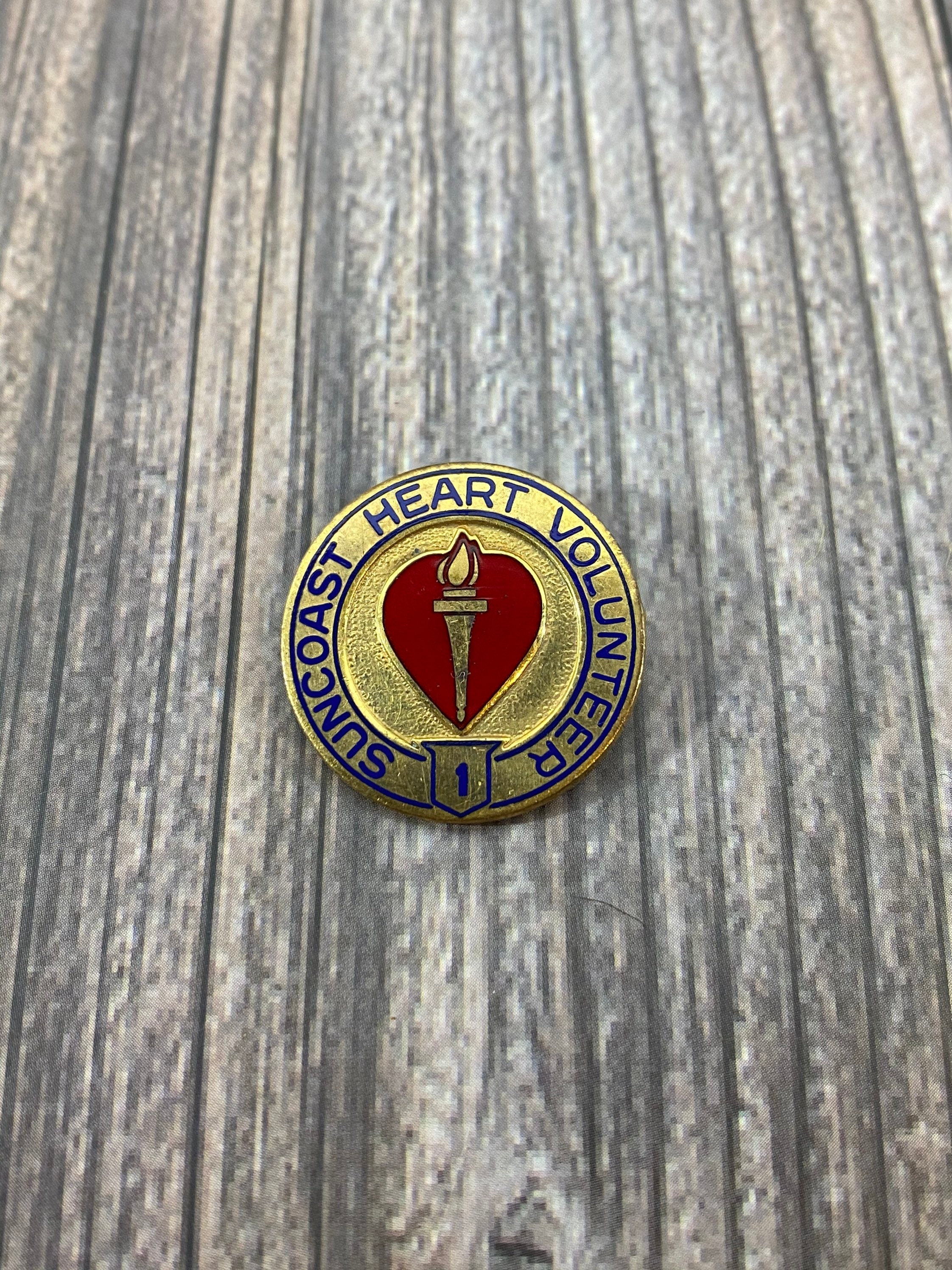 Volunteer Pin
