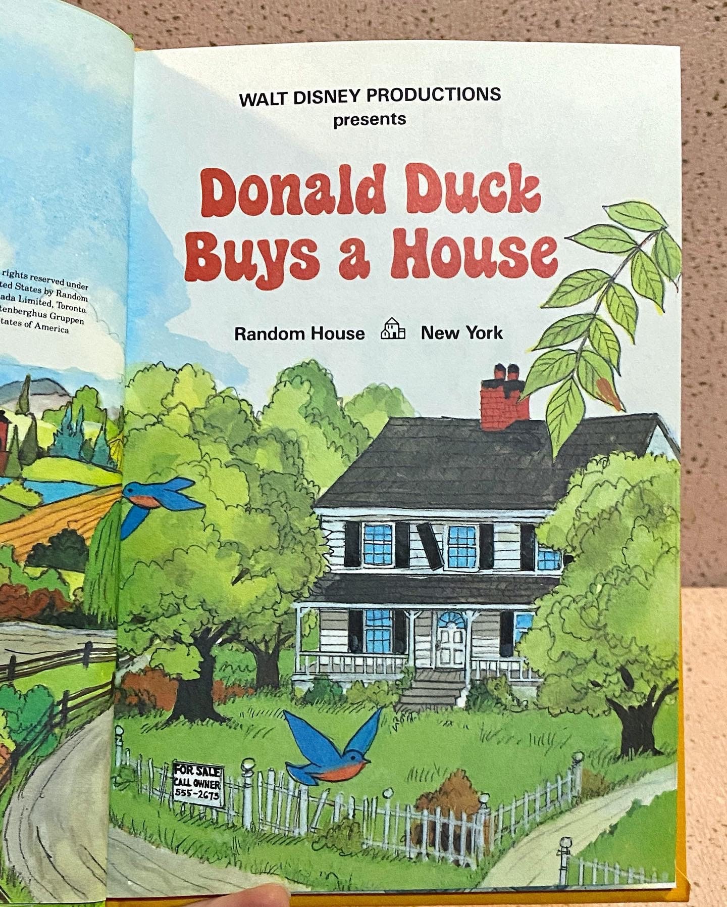 Vintage Disney Book 1987 Donald Duck Buys a House The | Etsy