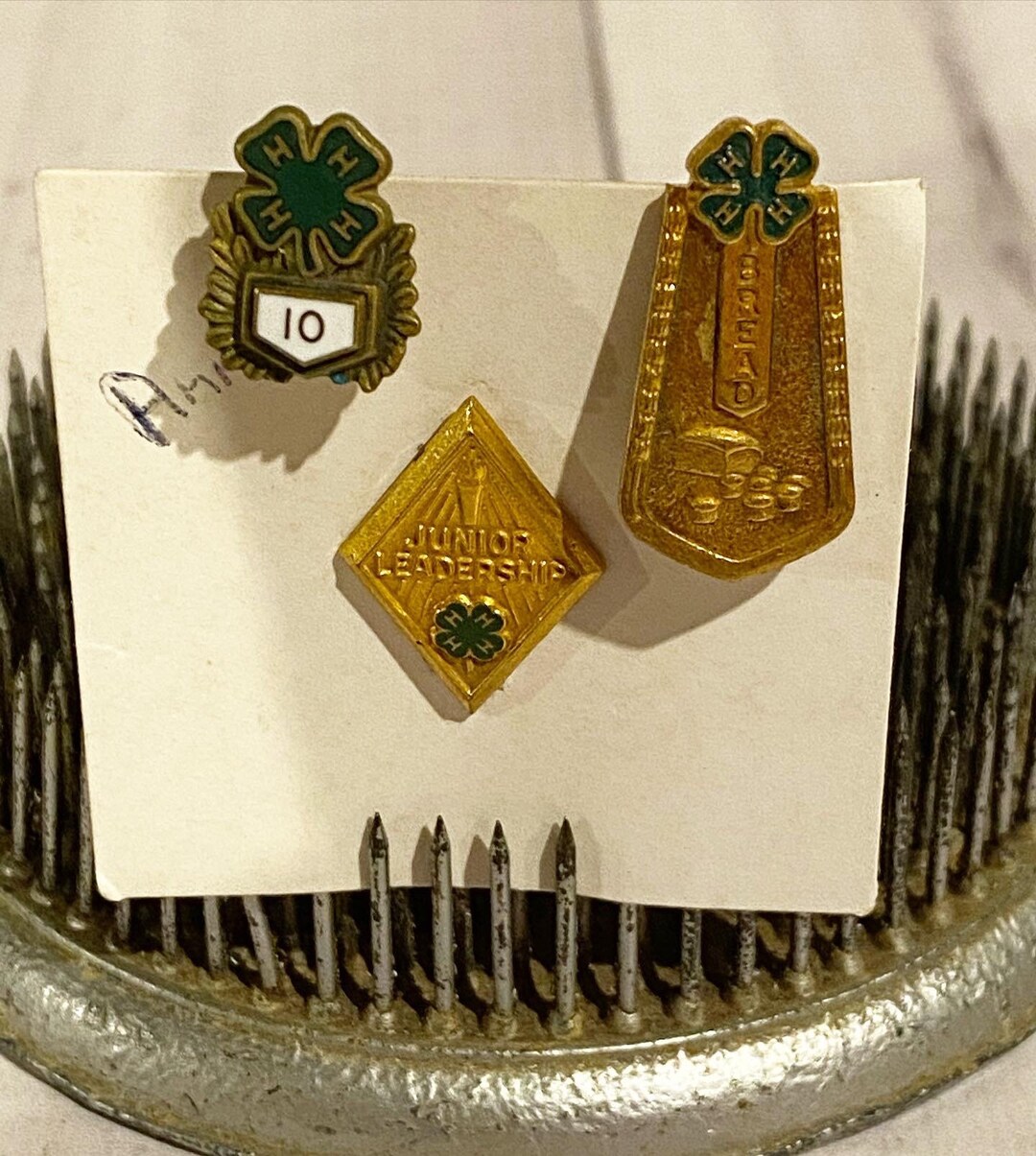 Three Vintage 4H Pins - Etsy