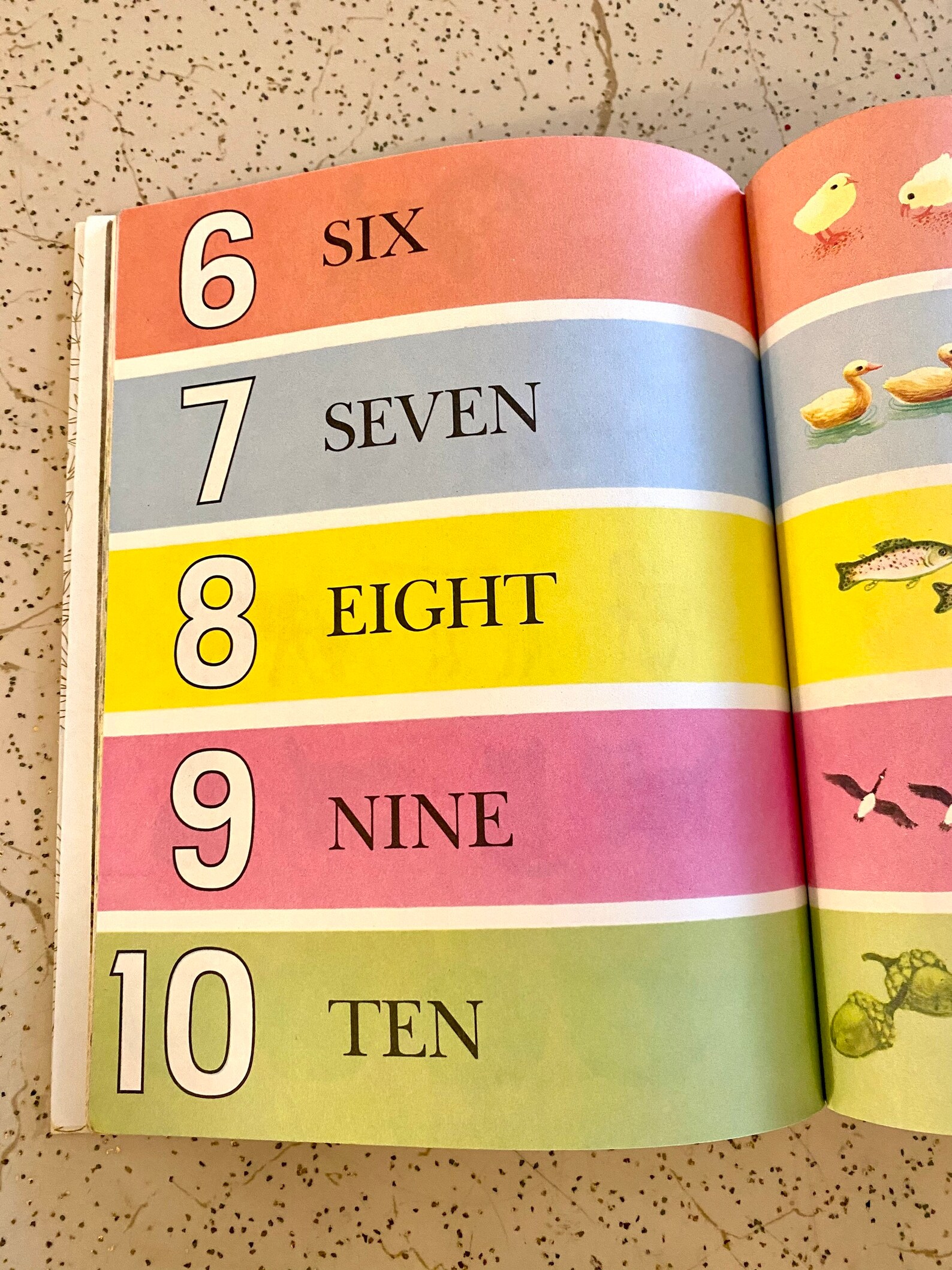 Vintage Little Golden Book 1957 My First Counting Book - Etsy