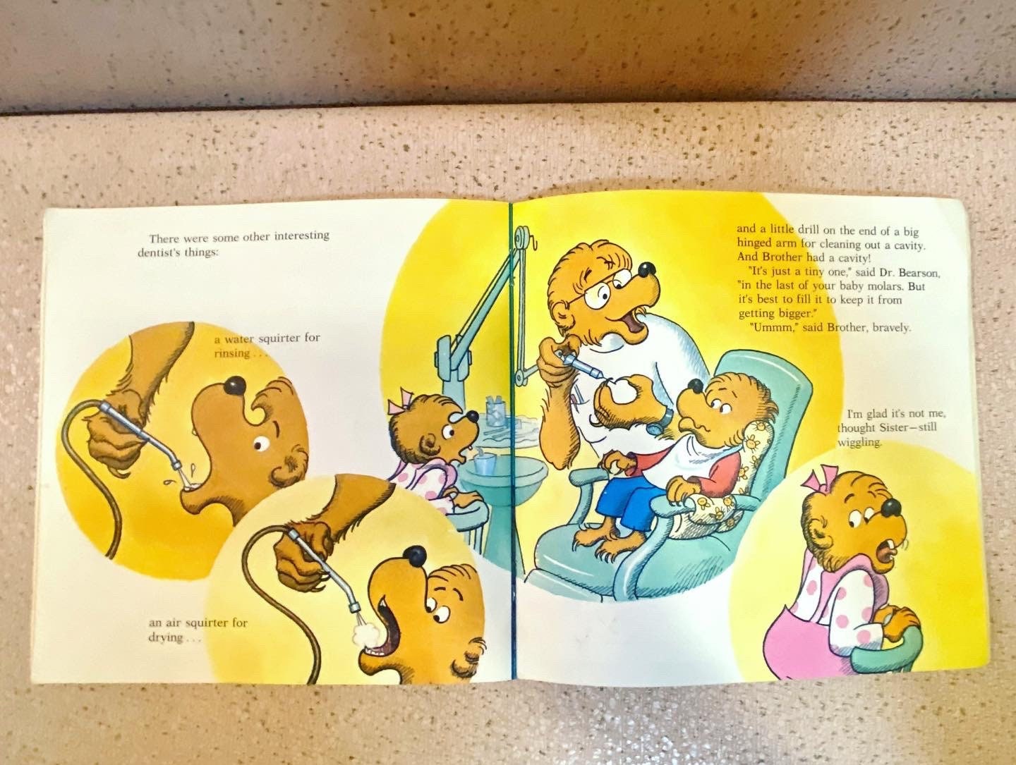 Vintage Childrens Book 1981 The Berenstain Bears Visit the | Etsy