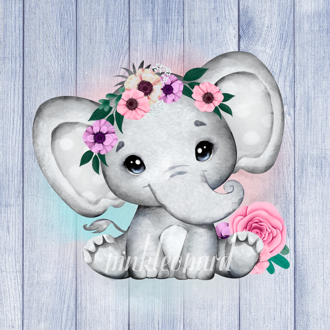 Cute Floral Baby Elephant Png Sublimation Design Pink Flowers Elephant ...