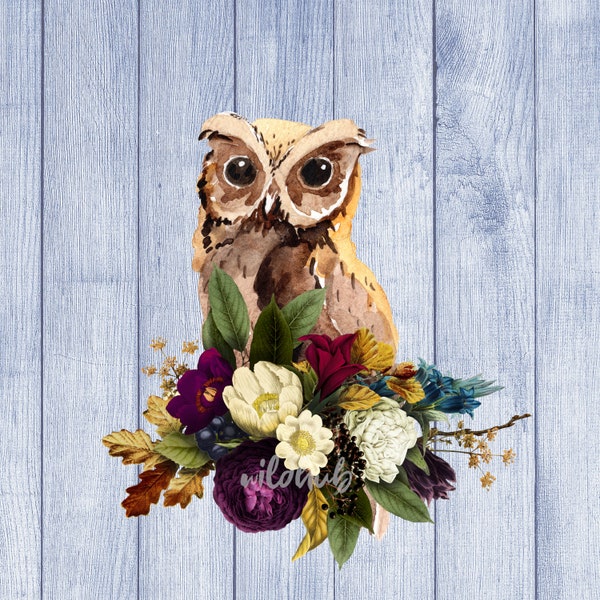 Fall Owl Clipart - Etsy
