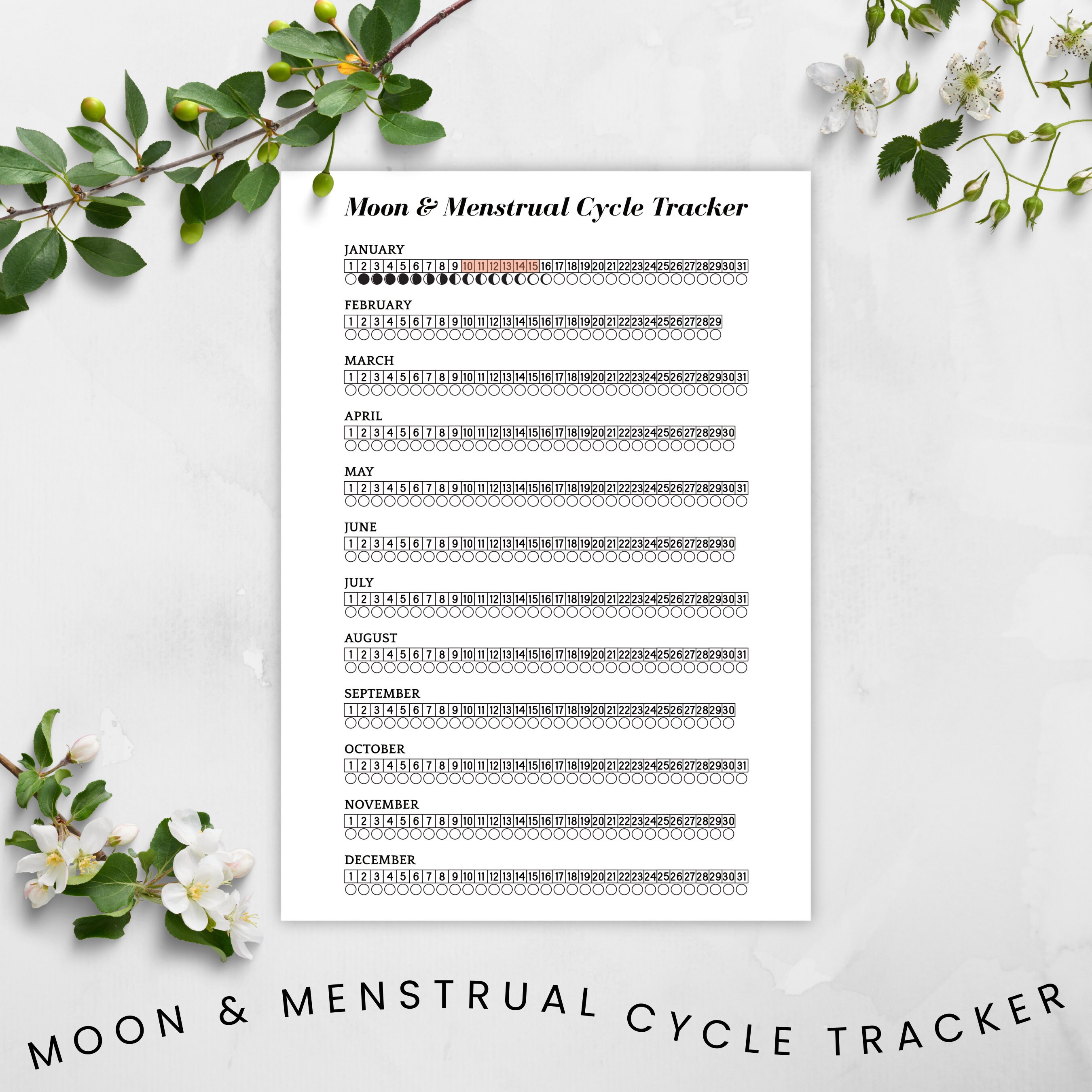 Sacred Bleeding Moon Journal White Moon Cycle Vs Red Moon Cycle Purple ...