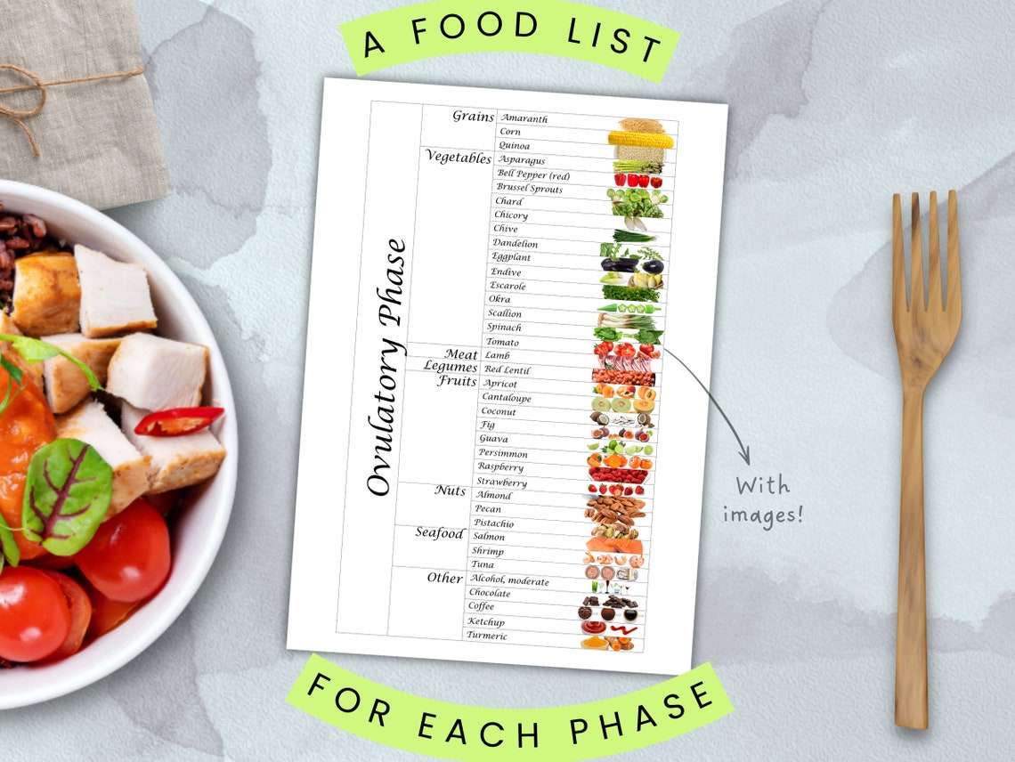 Cycle Syncing Nutrition Guide and Recipe Binder Cycle Sync - Etsy