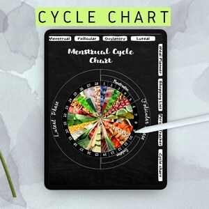 Cycle Syncing Nutrition Guide Digital for iPad Cycle Sync Food List - Etsy