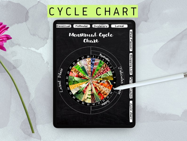 Cycle Syncing Nutrition Guide Digital for iPad Cycle Sync Food List - Etsy