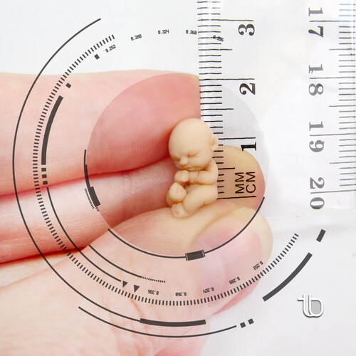 Tiny Mini Reborn Baby. Realistic Doll OOAK Miniature Polymer - Etsy