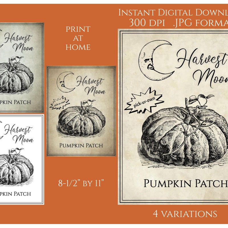 Primitive Moon - Etsy