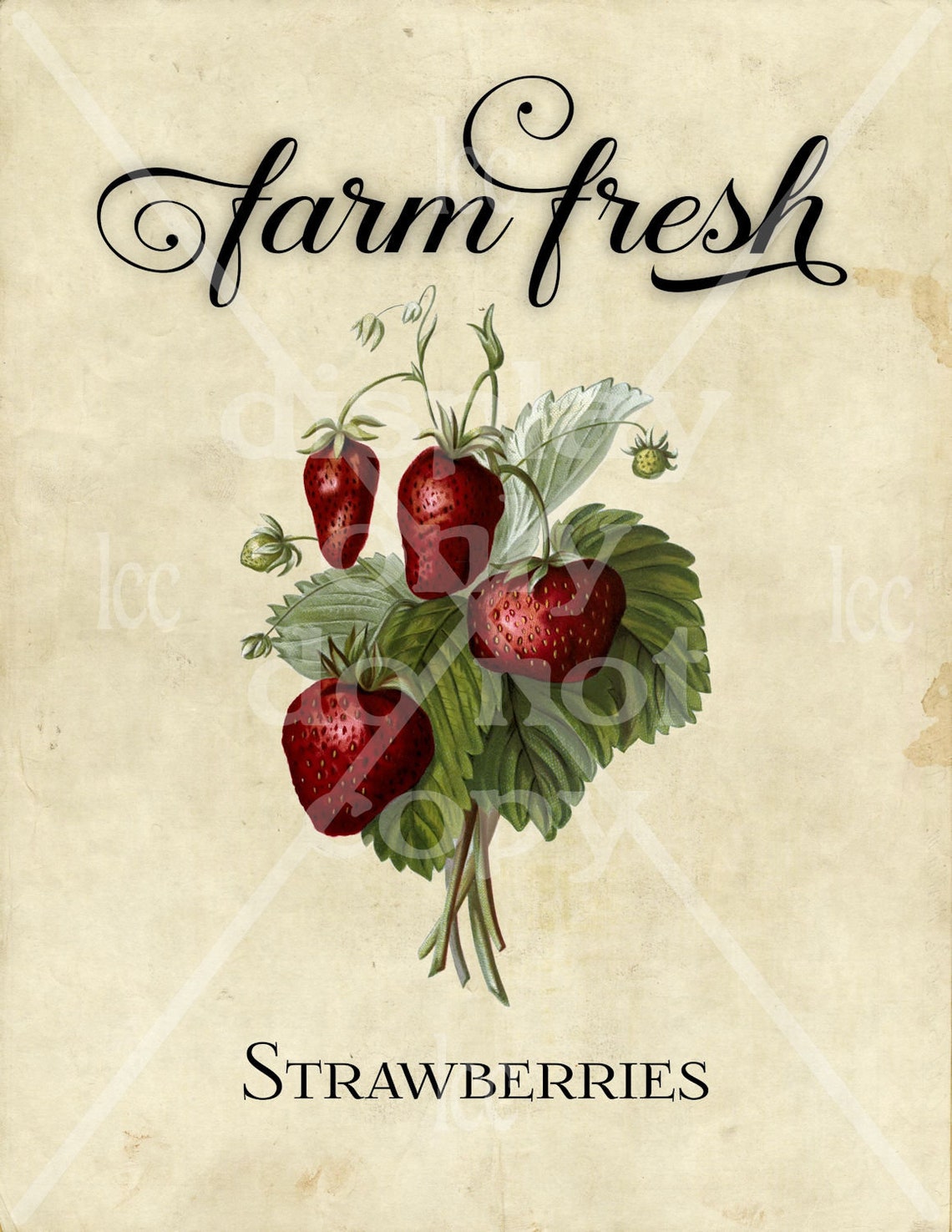 Farmhouse Digital Instant Download Printable Country Primitive Transfer ...