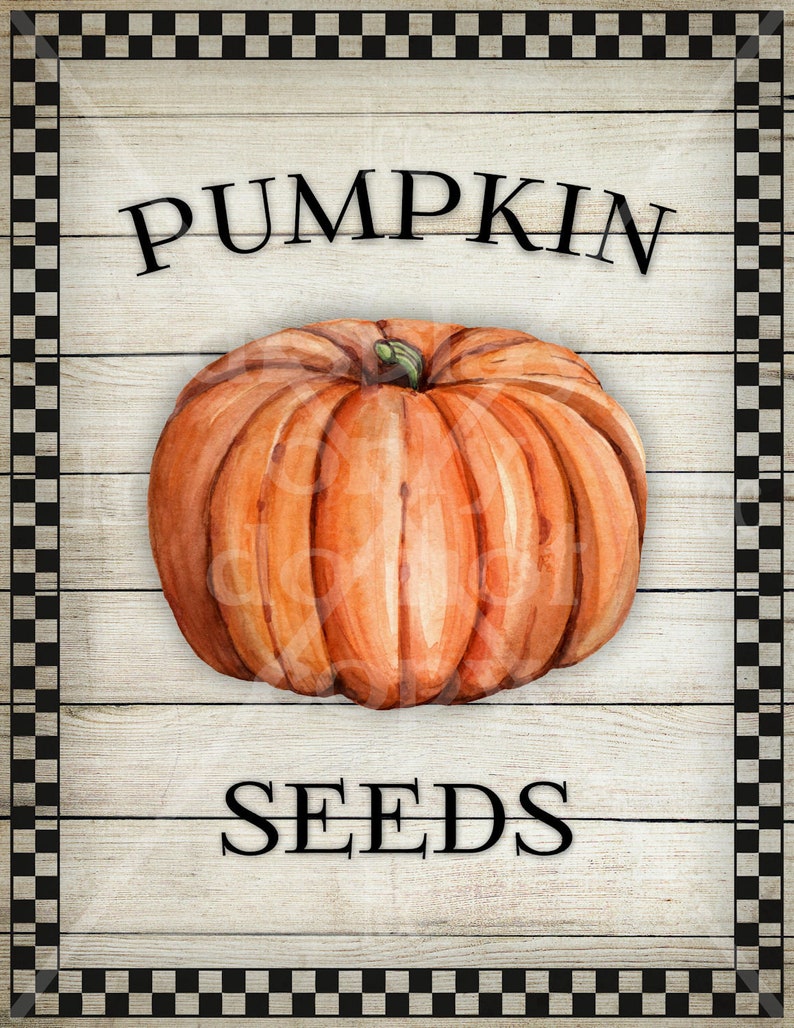 Autumn Pumpkin Seeds Digital Instant Download Printable Country Signs ...