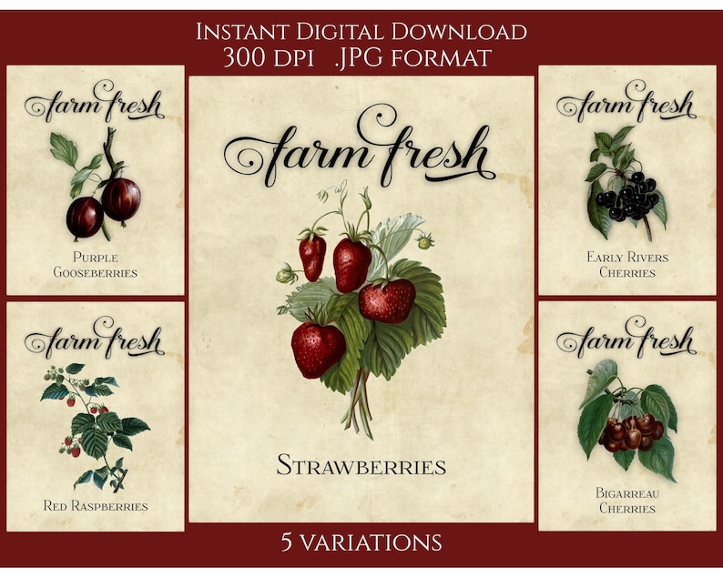 Farmhouse Digital Instant Download Printable Country Primitive Transfer ...