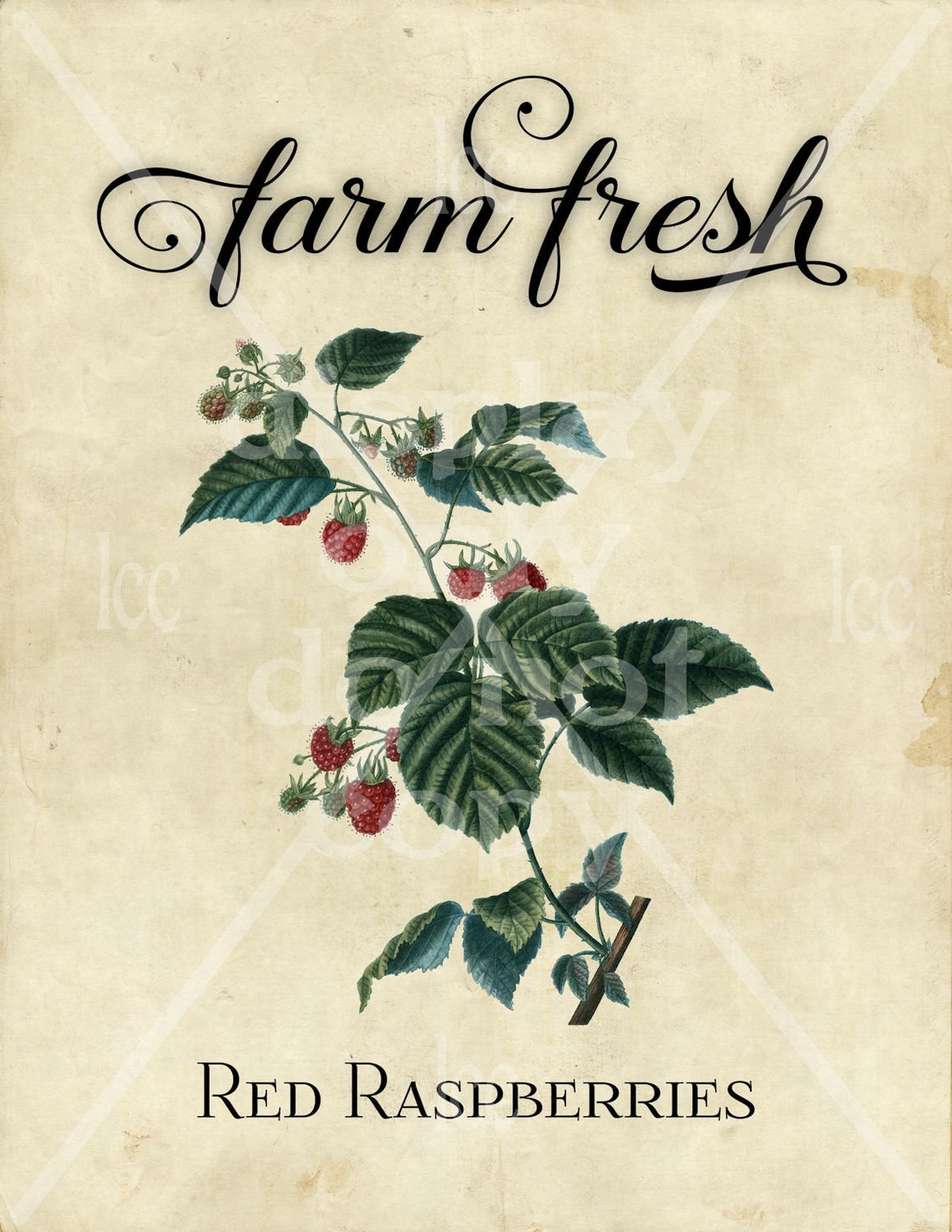 Farmhouse Digital Instant Download Printable Country Primitive Transfer ...