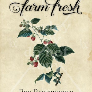 Farmhouse Digital Instant Download Printable Country Primitive Transfer ...