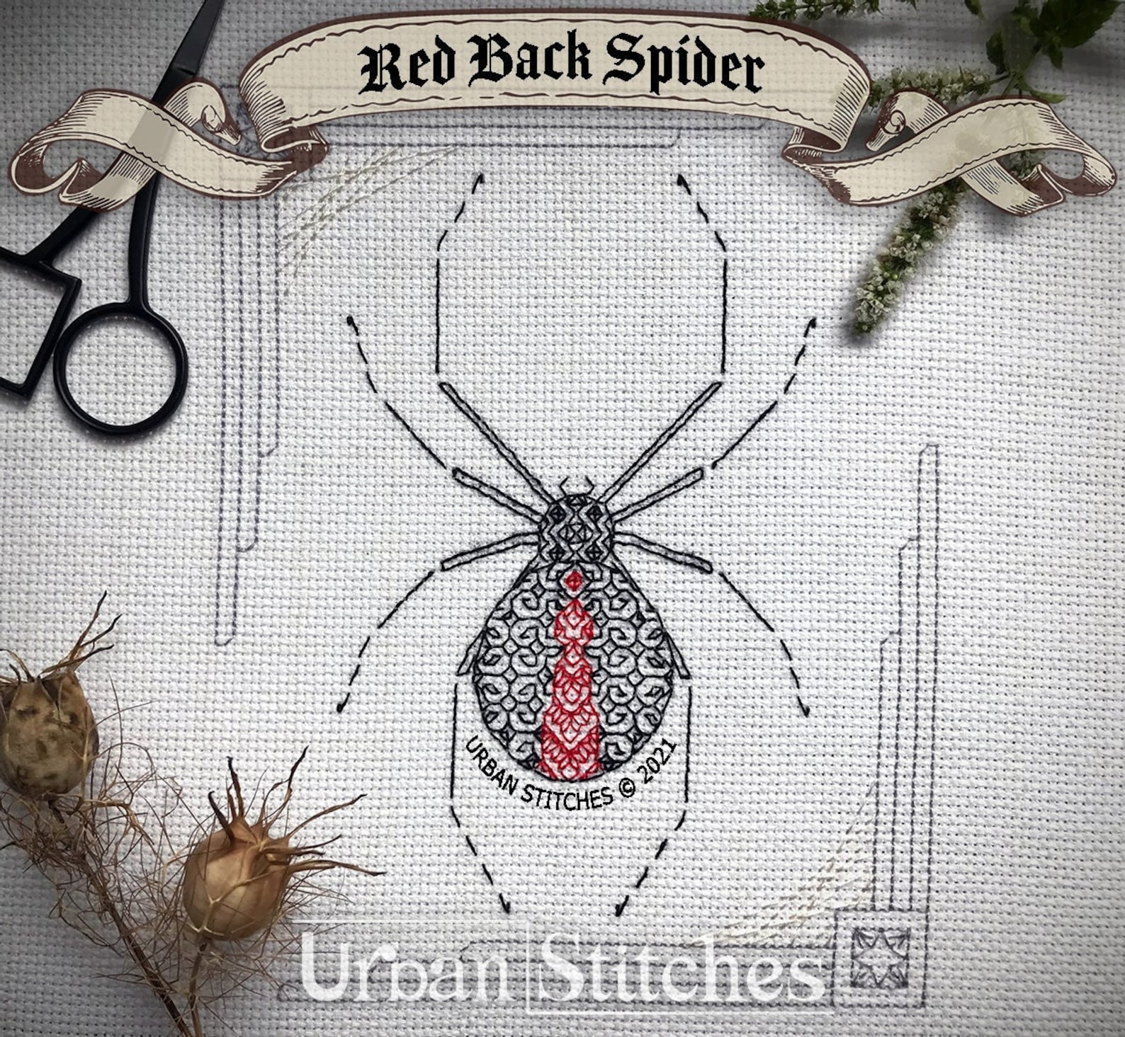 Black Widow Redback Spider Blackwork, Victorian Style Insect Specimen ...