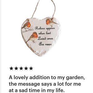 Robin's Appear When Lost Loved Ones Are Near, Remembrance, Memorial ...