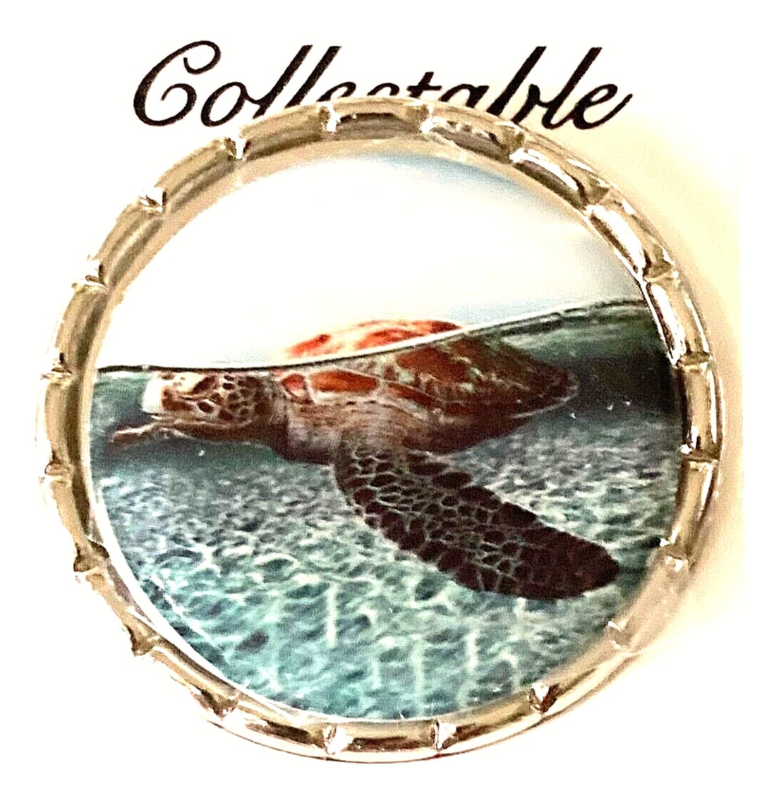 Sea Turtle Lapel Pin Detailed 30mm Raised Decorative Edge - Etsy