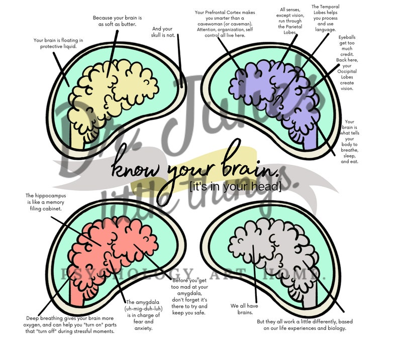 Know Brain Facts Poster Fun Art Teacher Office Psychologist | Etsy
