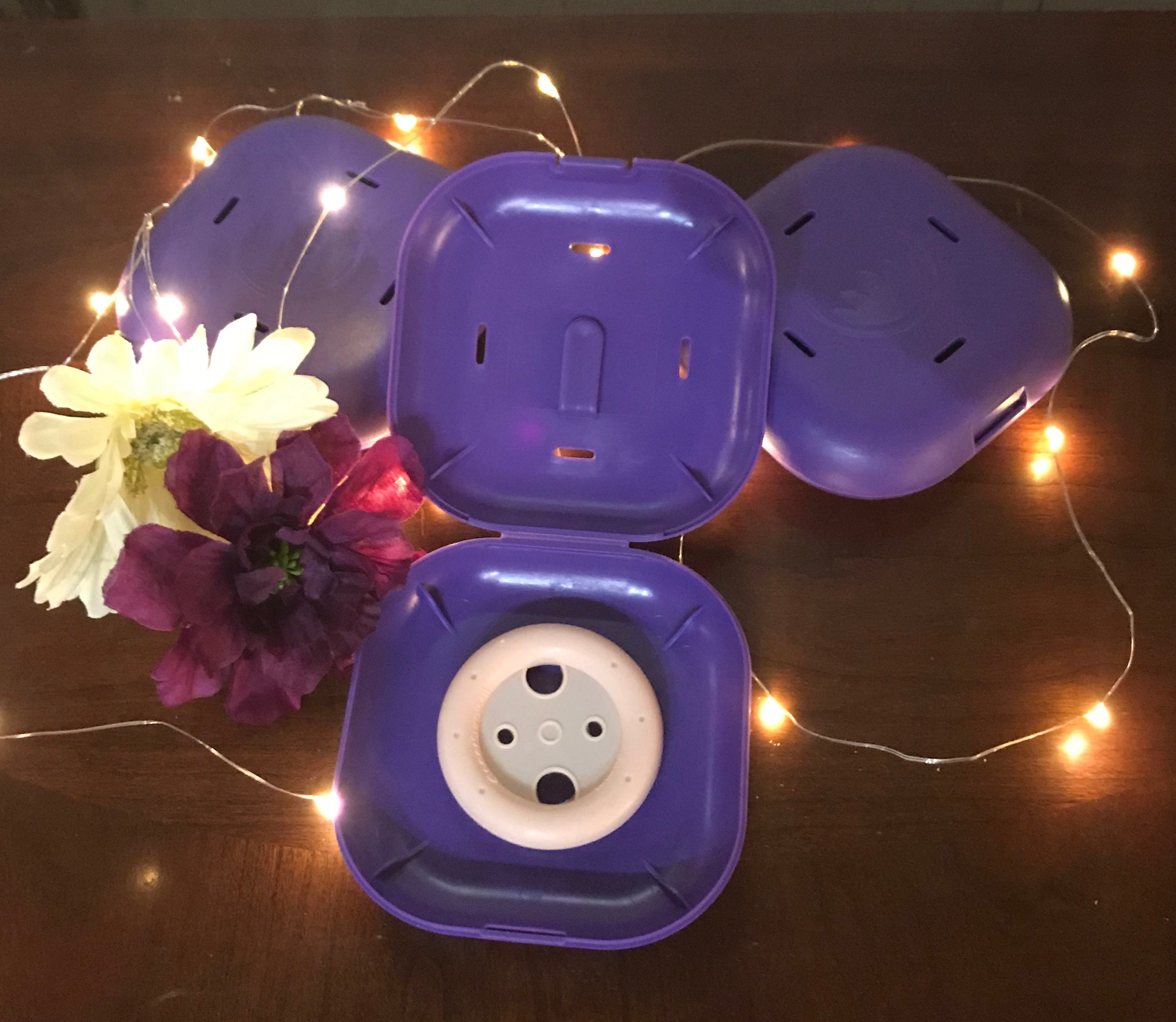 Pessary Box Discreet Pessary Storage Case | Etsy