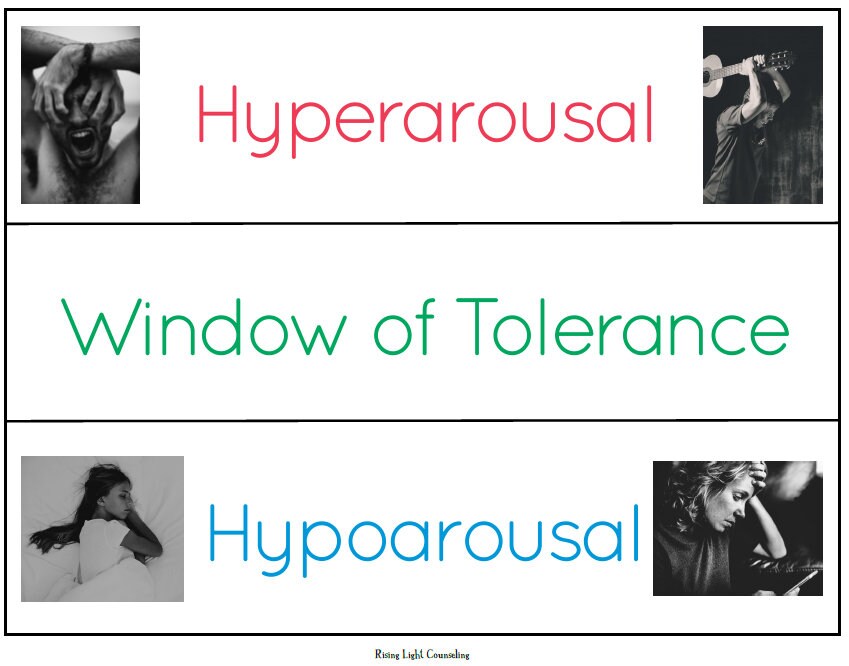Window of Tolerance Simplified Poster - Etsy
