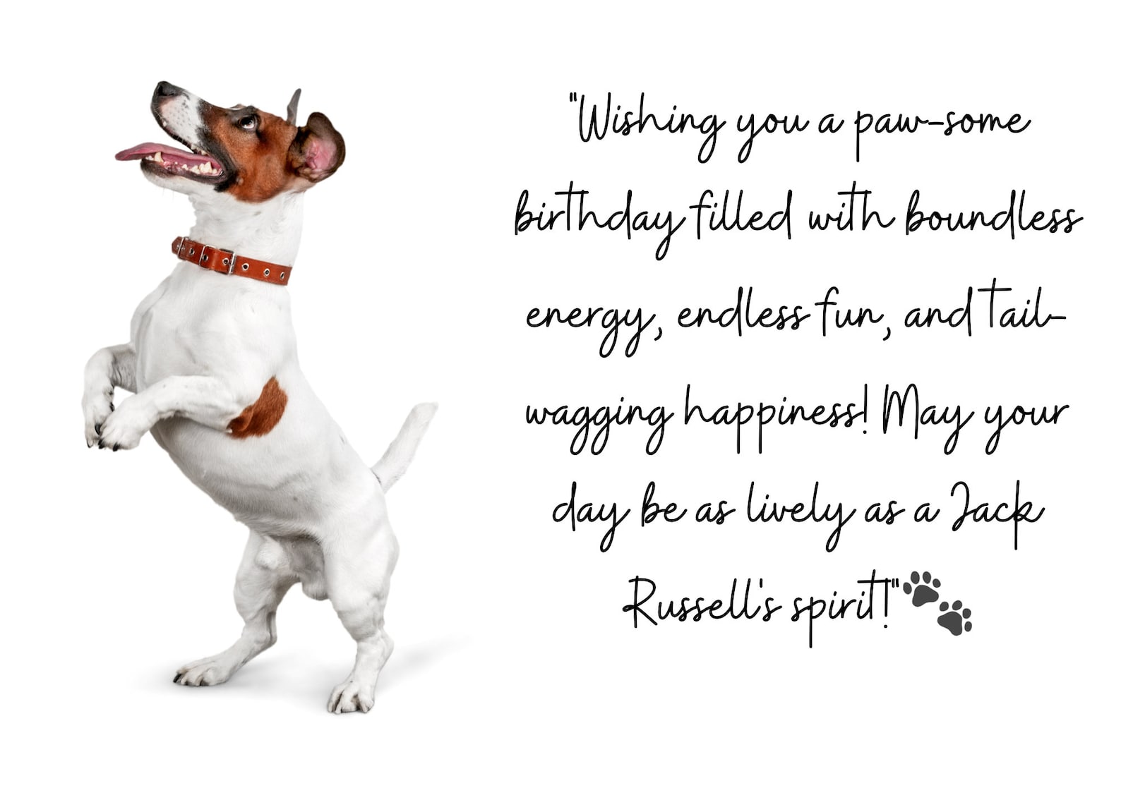 Jack Russell’s Birthday Card - Etsy