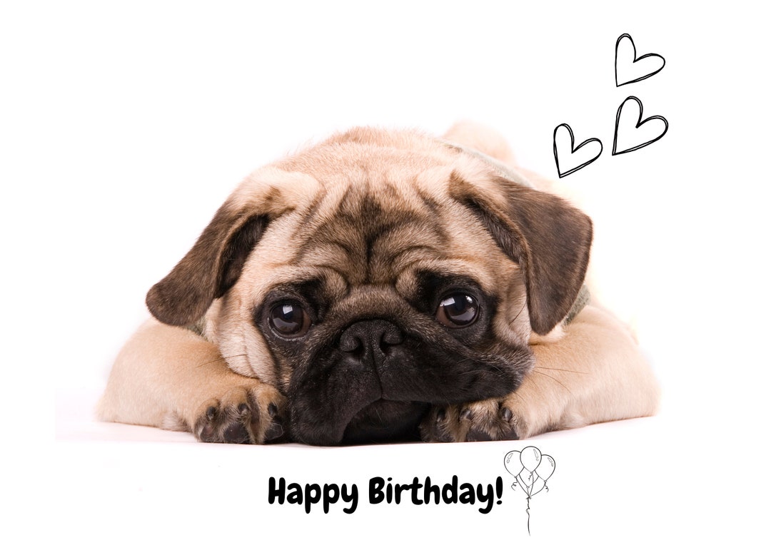Happy Birthday Pug Dog Card, Pug Dog Birthday Card, Digital Dog Lover ...