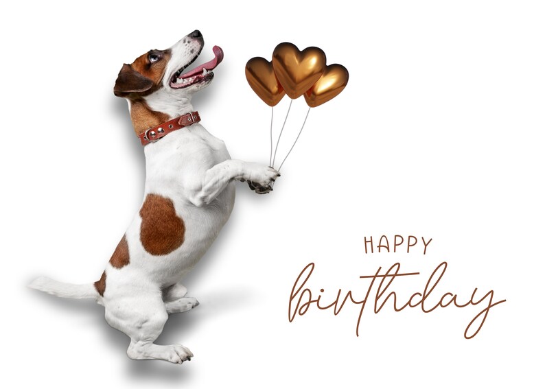 Jack Russell Lover Birthday Card, Jack Russell Birthday Card, Dog Lover ...