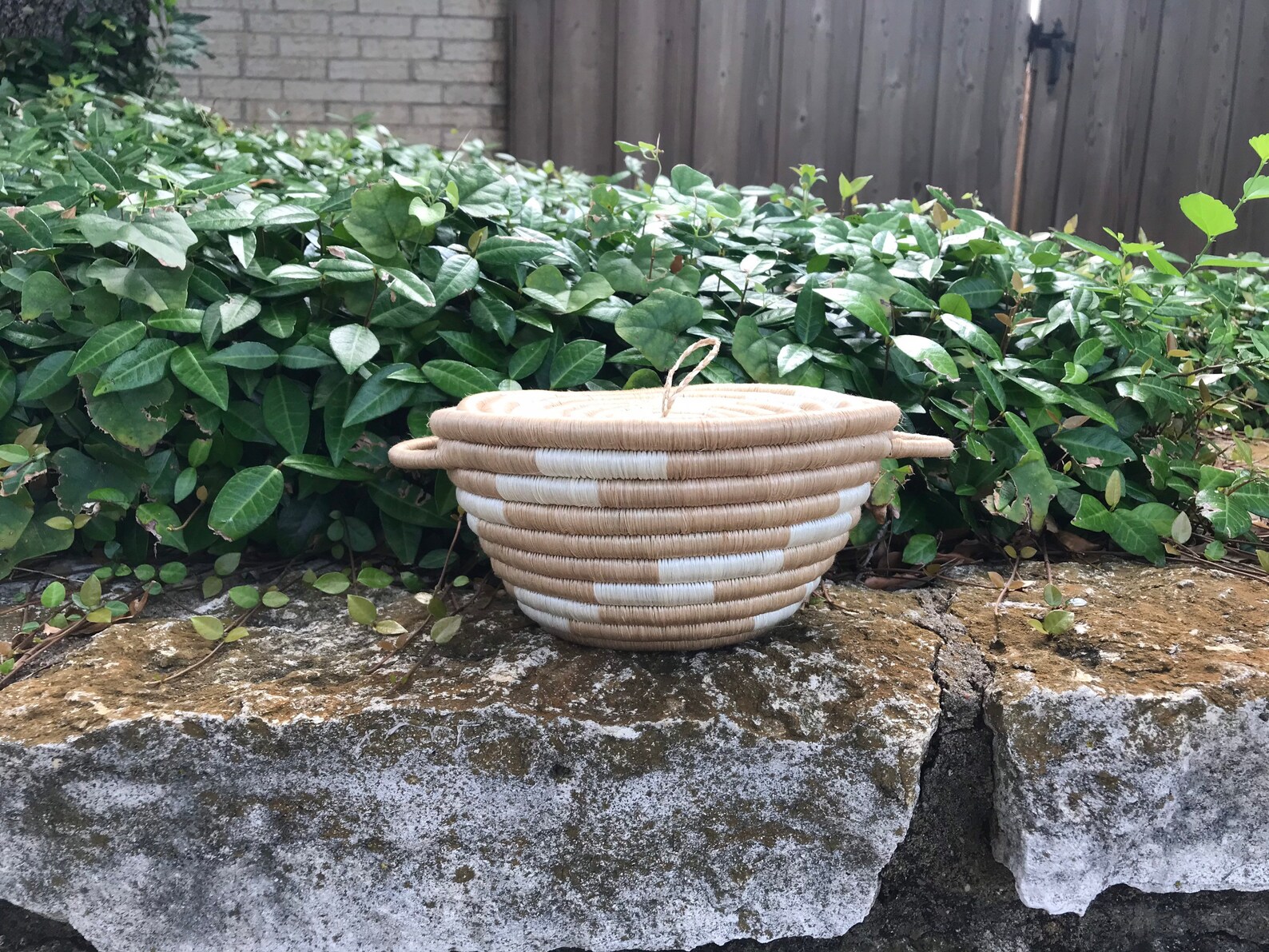 Small Basket With Lid Small Storage Basket Candy Dish - Etsy