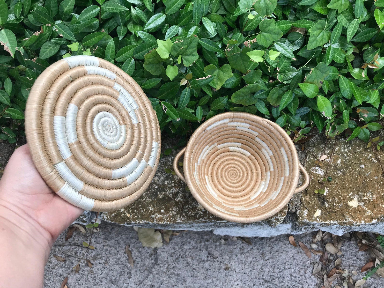 Small Basket With Lid Small Storage Basket Candy Dish - Etsy