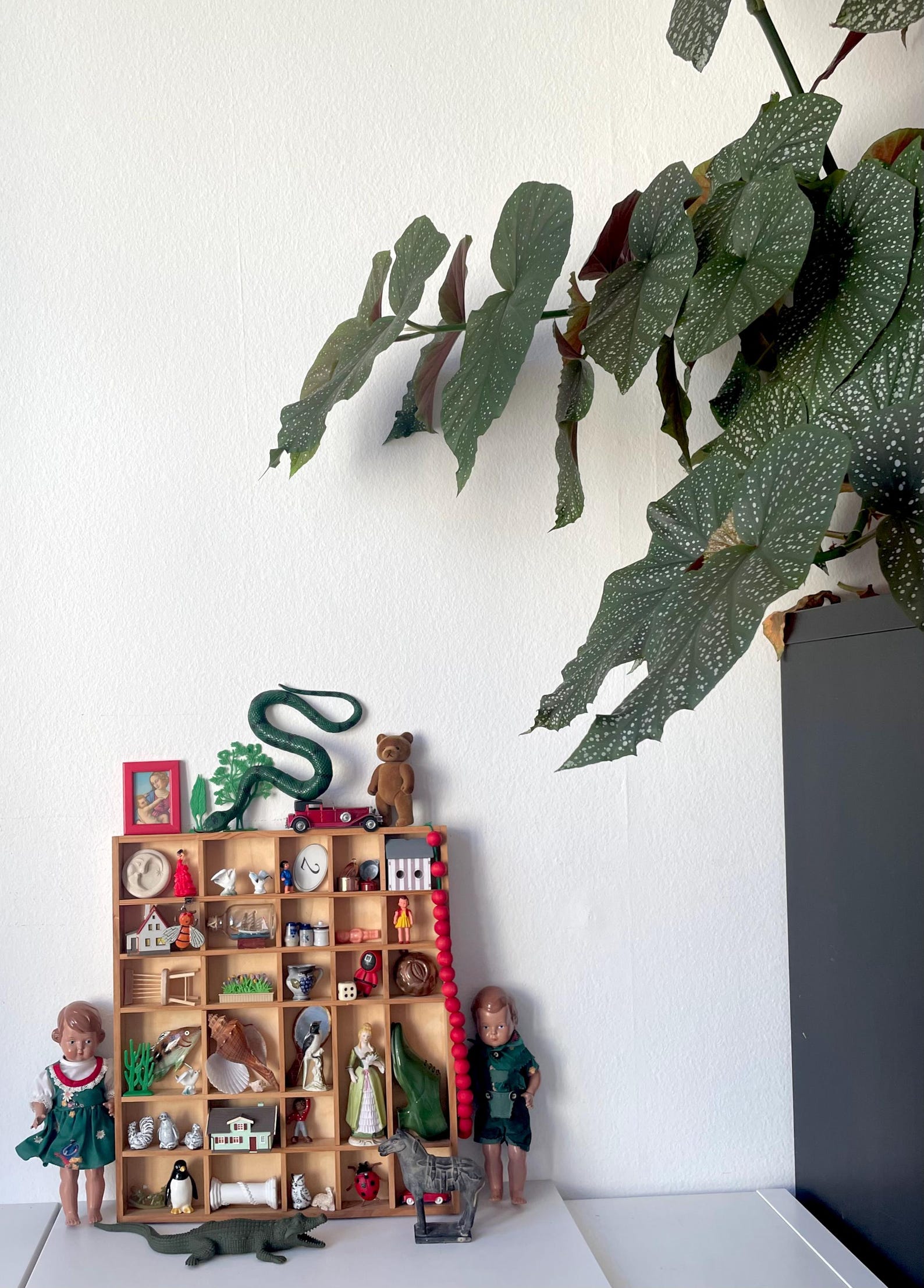 Shadowbox Concrete Effect Curiosities Shelf, Oddities Display, Wall ...