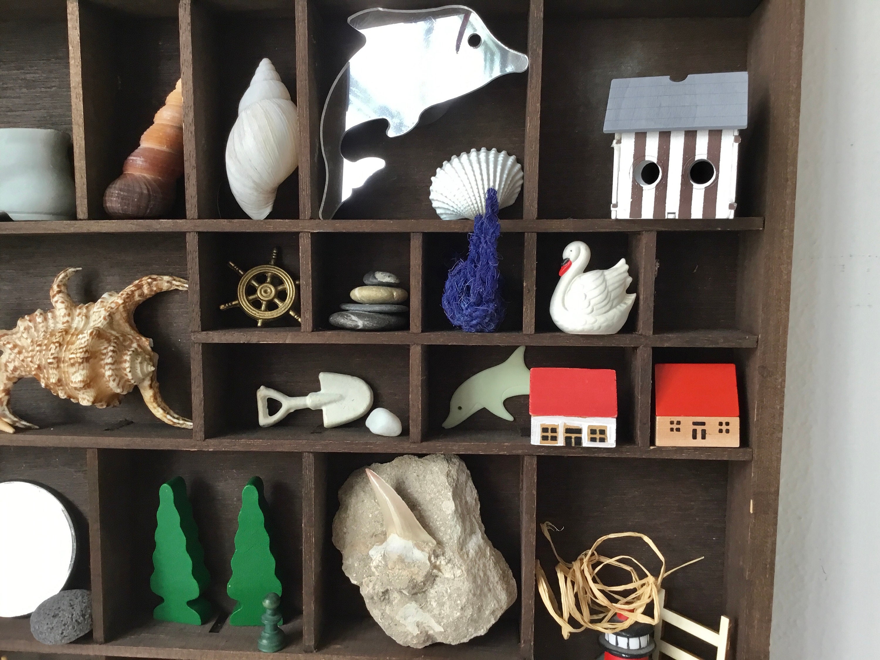 Shadowbox Great Vintage Display Case Printers Type Case Full of Vintage ...