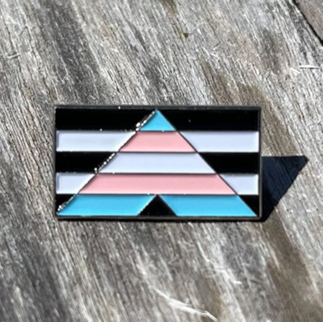 Transgender Ally Flag 1 Lapel Pin Badge LGBT LGBTQ Trans Tran Equality ...