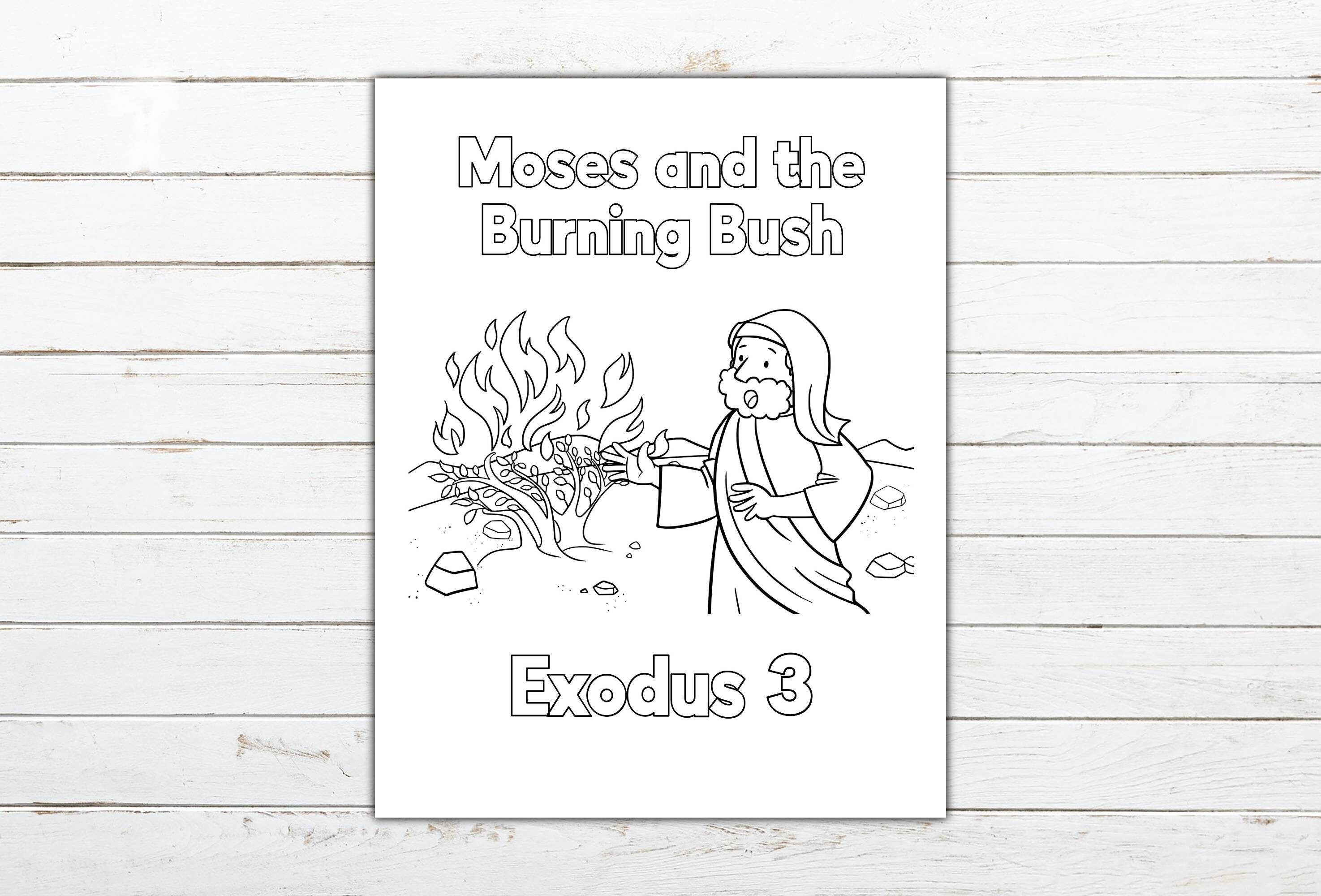 Old Testament Stories Printable Coloring Pages | 7 Page Set - Etsy