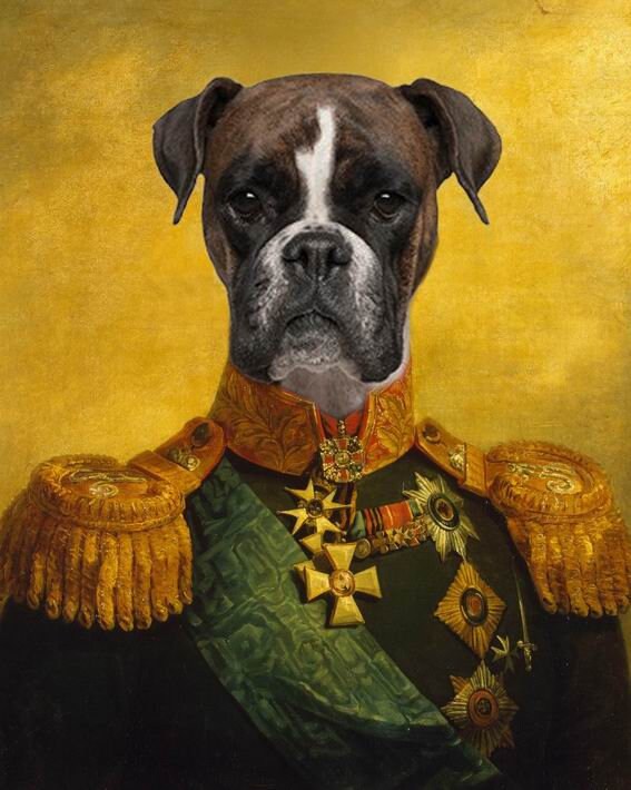 Custom Regal Pet Portrait Royal Pet Portrait Renaissance Pet | Etsy