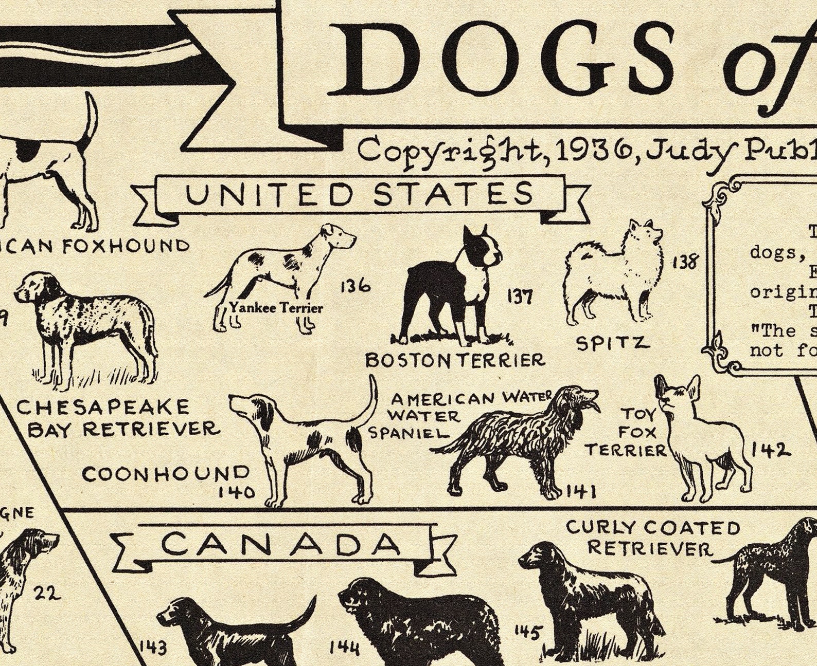 Dog Breeds Canvas Dogs of All Nations Map Canvas Dogs Map - Etsy